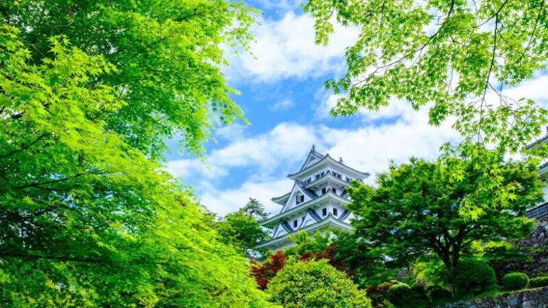 From Nagoya: Gujo, Hida Takayama, and Shirakawa-go Day Tour - Practical Tips