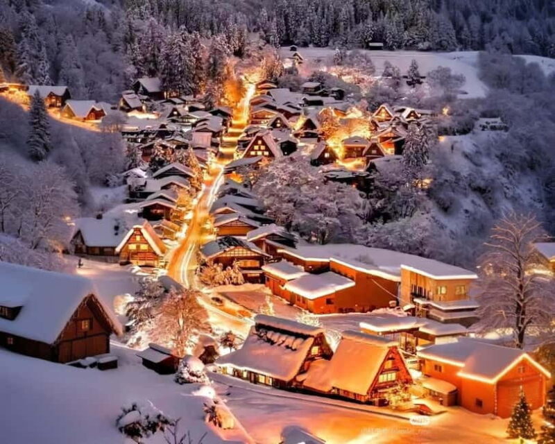 From Nagoya: Hida Takayama and Shirakawa-go Winter Day Tour - Who Should Consider This Tour?