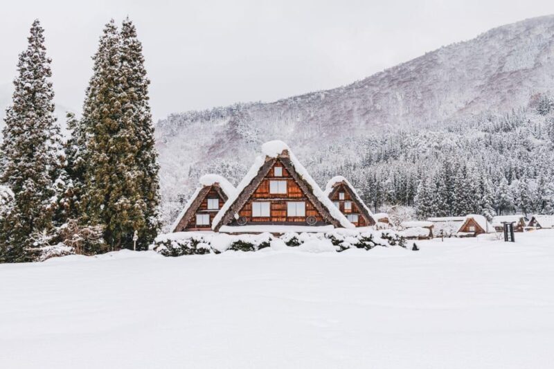 From Nagoya: Hida Takayama and World Heritage Shirakawa-go - Key Points