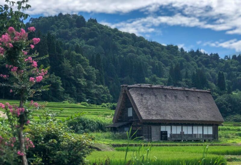 From Nagoya: Hida Takayama and World Heritage Shirakawa-go - What the Reviews Say