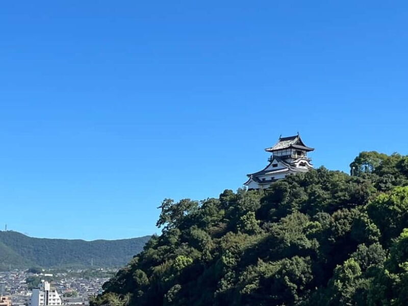 From Nagoya: Inuyama Castle, Ena Gorge, Magome, Tsumago Tour - Authentic Experiences and Guest Perspectives