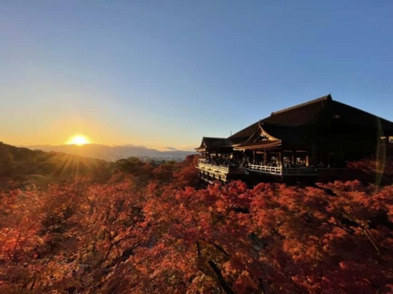From Nagoya: Kyoto Day Tour with Pork Shabu-Shabu Lunch - Exploring Fushimi Inari Taisha Shrine
