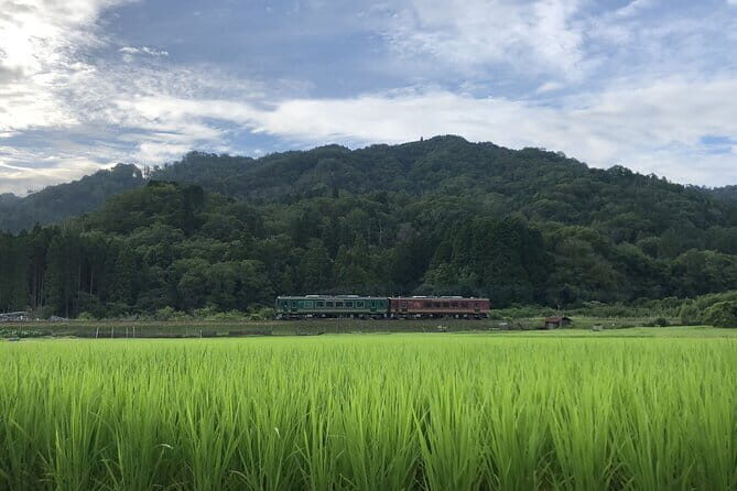From Nagoya: Myths and Mystery of Ninja and the Tokaido Road - Who Will Love This Tour?