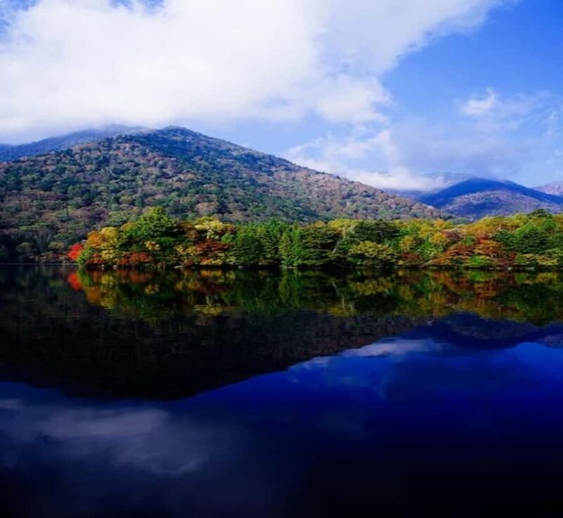 From Nagoya: Nikko Private Full-Day Tour with English Guide - Final Thoughts