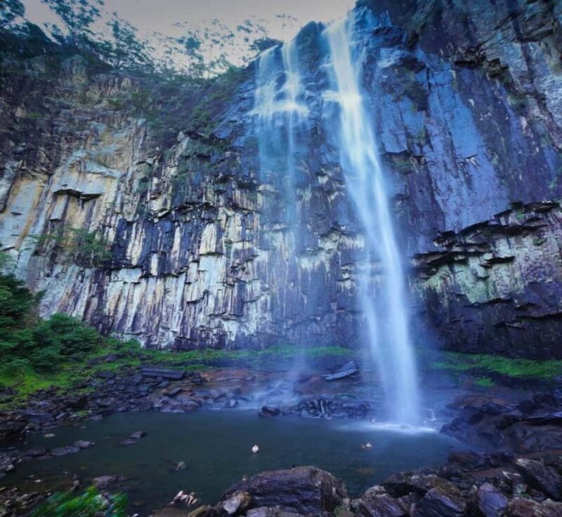 From Nagoya: Osaka Park, Katsuo-ji Temple, & Falls Tour - Exploring the Nagoya to Osaka Nature and Culture Tour: A Detailed Review