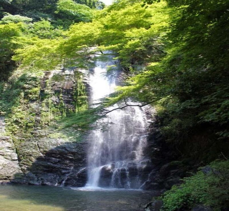 From Nagoya: Osaka Park, Katsuo-ji Temple, & Falls Tour - The Sum Up: Who Will Benefit Most?