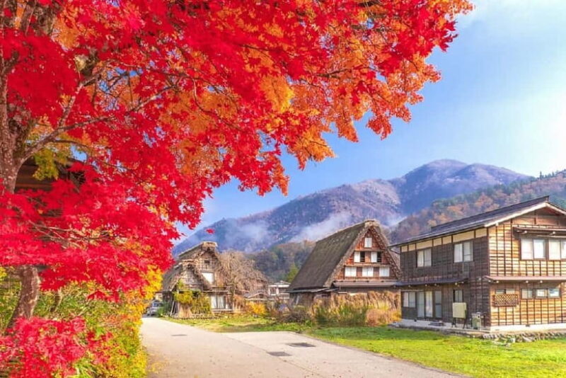 From Nagoya: Shirakawa-go & Hida-Takayama Full Day Trip - From Nagoya: Shirakawa-go & Hida-Takayama Full Day Trip — An Authentic Taste of Japan’s Mountain Heritage