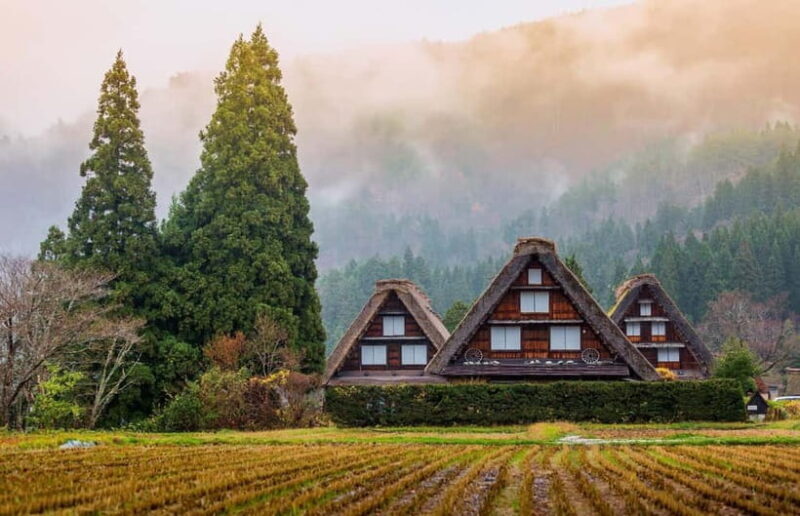 From Nagoya: Shirakawa-go UNESCO Village Day Trip w/ Pickup - What Makes This Tour Stand Out?