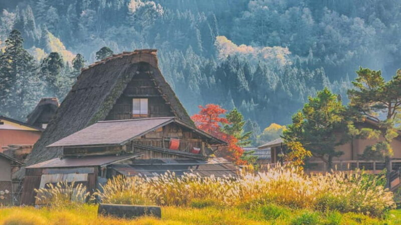 From Nagoya: Shirakawa-go UNESCO Village Day Trip w/ Pickup - Practical Considerations