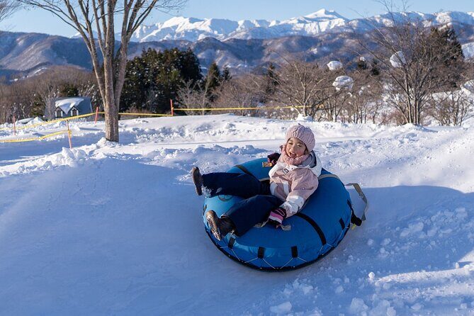From Nagoya: Snow Day in the Japan Alps & Shirakawago - Key Points