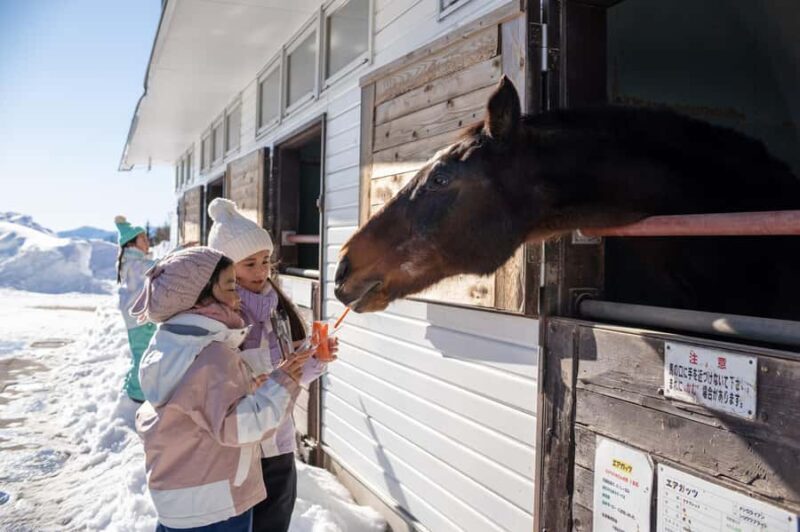 From Nagoya: Snow Day in the Japan Alps & Shirakawago - Key Points