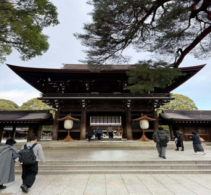 From Nagoya: Tokyo Private Scenic Tour with English Guide - The Value of a Private Guided Day Trip