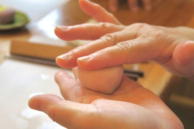 From Nagoya: Wagashi Workshop & Matcha Tea Field Tour - Key Points