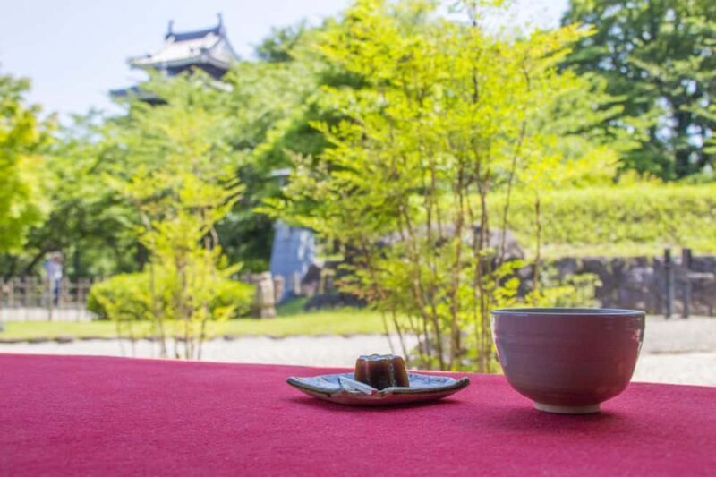 From Nagoya: Wagashi Workshop & Matcha Tea Field Tour - Why You Should Consider This Tour