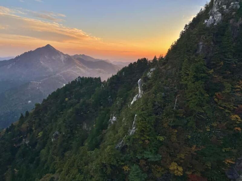 From Nagoya: Yoro Falls & Mt. Gozaisho Scenic Ropeway - The Sum Up