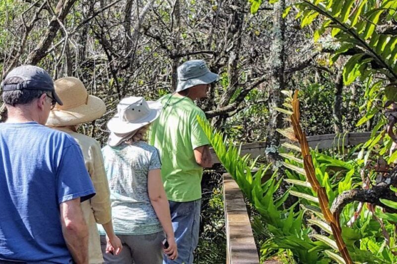 From Naples: 10,000 Islands Boat Trip & Everglades Walk! - Key Points