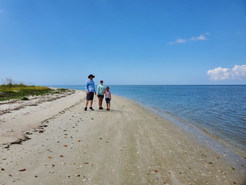 From Naples: 10,000 Islands Boat Trip & Everglades Walk! - The Sum Up: Why This Tour Is a Strong Choice