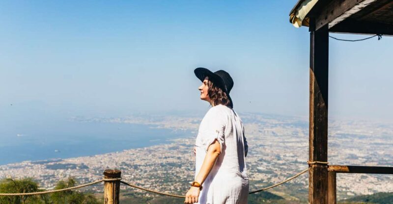 From Naples: All-Inclusive Mount Vesuvius Half-Day Tour - Key Points