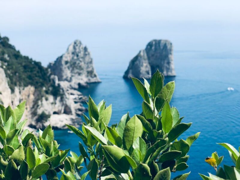 From Naples: Capri and Anacapri - Guided tour - Analyzing the Experience in Detail