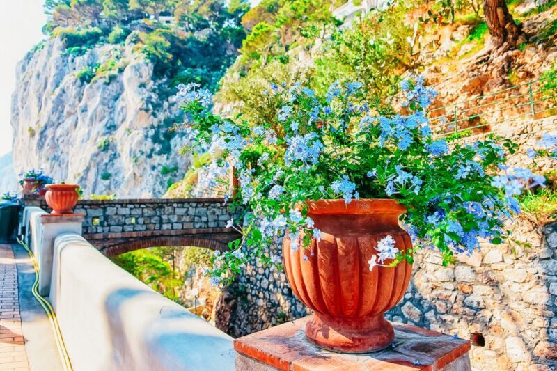 From Naples: Capri and Blue Grotto Day Tour - Key Points