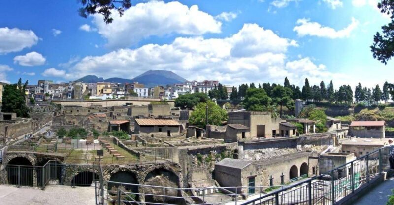 From Naples: Day Trip to Herculaneum with skip the line - Exploring the Experience: What You Can Expect from the Tour