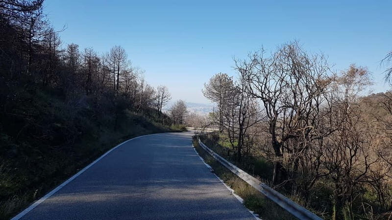 From Naples: Day Trip to Mount Vesuvius - Final Thoughts