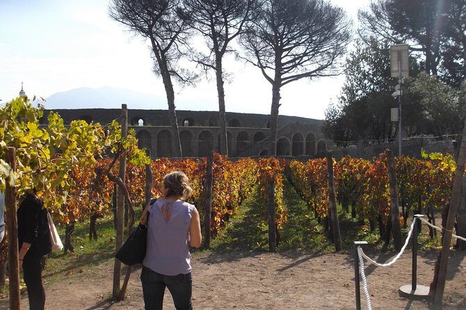From Naples - Enjoy Pompeii drive tour with official Archaeological Guide - - Who This Tour Is Best For