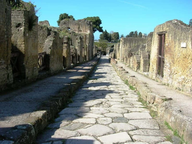From Naples: Explore Herculaneum Ruins and Vesuvius - Exploring Herculaneum