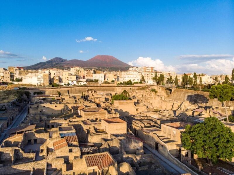 From Naples: Explore Herculaneum Ruins by bus - Key Points