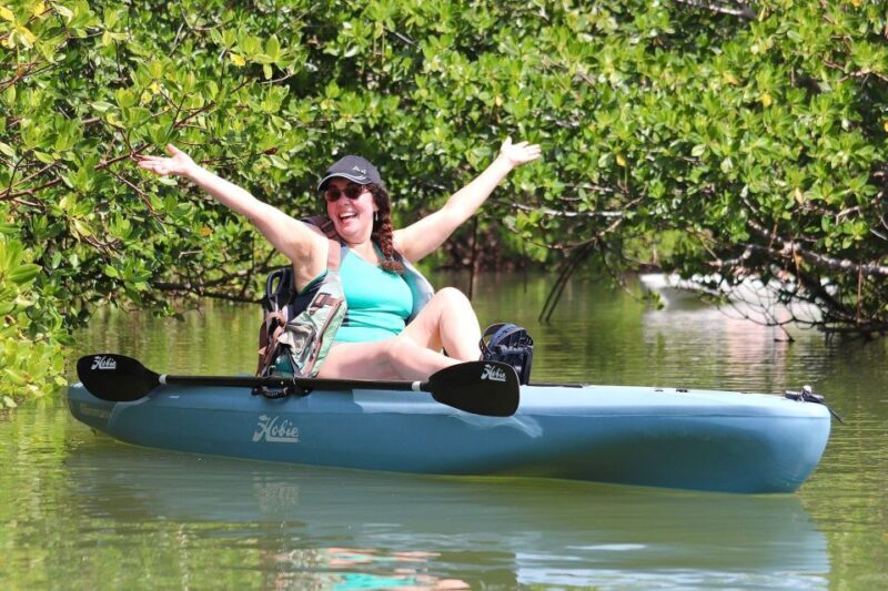 From Naples, FL: Marco Island Mangroves Kayak or Paddle Tour - Discover the Untouched Beauty of Floridas Mangrove Forests from Naples