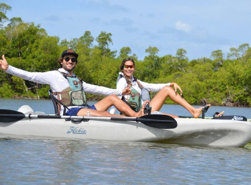 From Naples, FL: Marco Island Mangroves Kayak or Paddle Tour - An In-Depth Look at the Tour