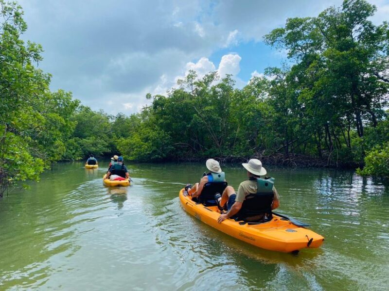 From Naples, FL: Marco Island Mangroves Kayak or Paddle Tour - Who Should Consider This Tour?