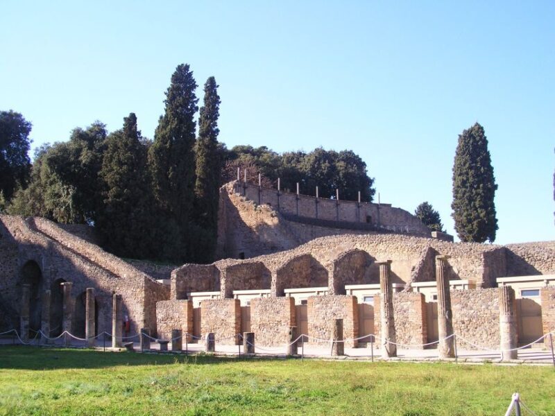From Naples: Guided Pompei & Mount Vesuvius with Pizza Lunch - Key Points