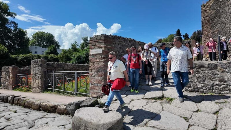 From Naples: Guided walking tour of Pompeii with entry ticket and train - Key Points