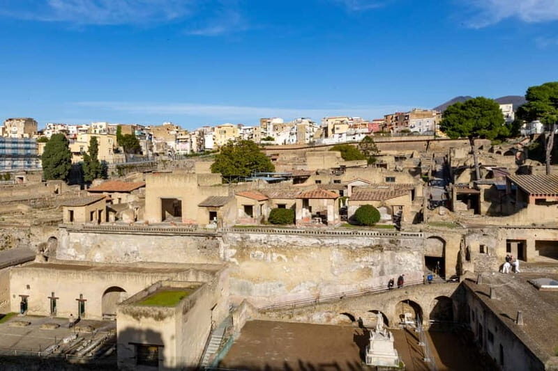 From Naples: Herculaneum Private tour with Tickets - The Sum Up