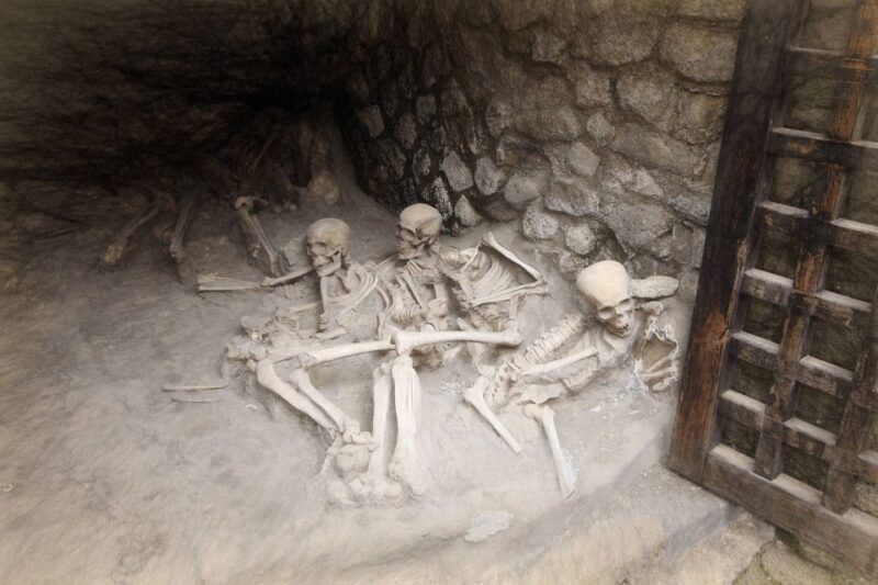 From Naples: Herculaneum Skip-the-Line Guided Tour - Possible Drawbacks and Considerations