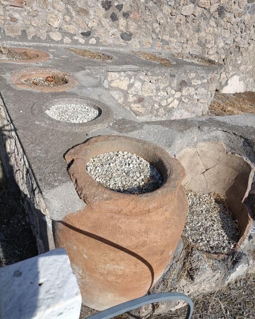 From Naples Herculaneum tour with Hotel Pickup and Drop-Off - Key Points
