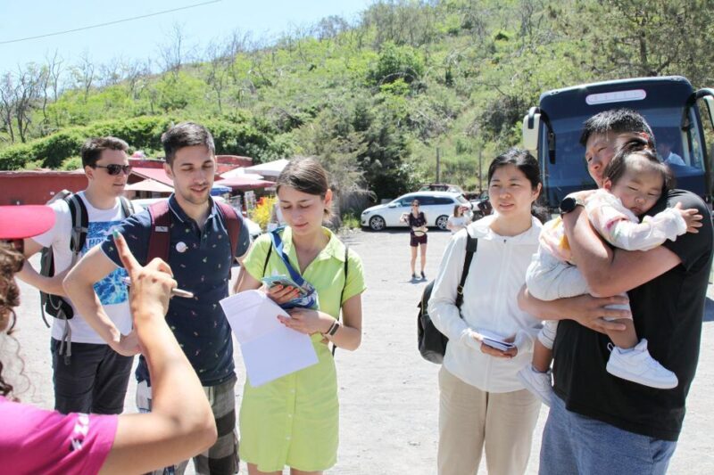 From Naples: Herculaneum, Vesuvius, and Pompeii Trip - Final Thoughts: Who Is This Tour Perfect For?