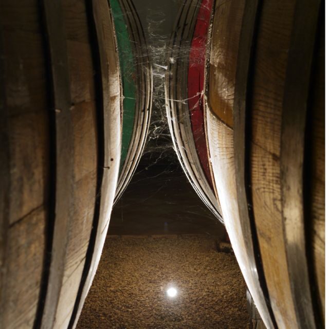 From Naples: Irpinia Wine Tour with 6 Tastings - Final Thoughts: Who Will Love This Tour?