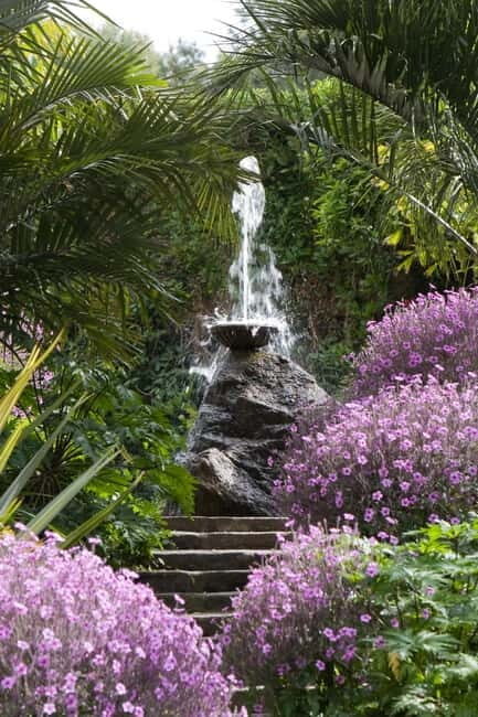 From Naples: Ischia and La Mortella Gardens Day Trip - Key Points