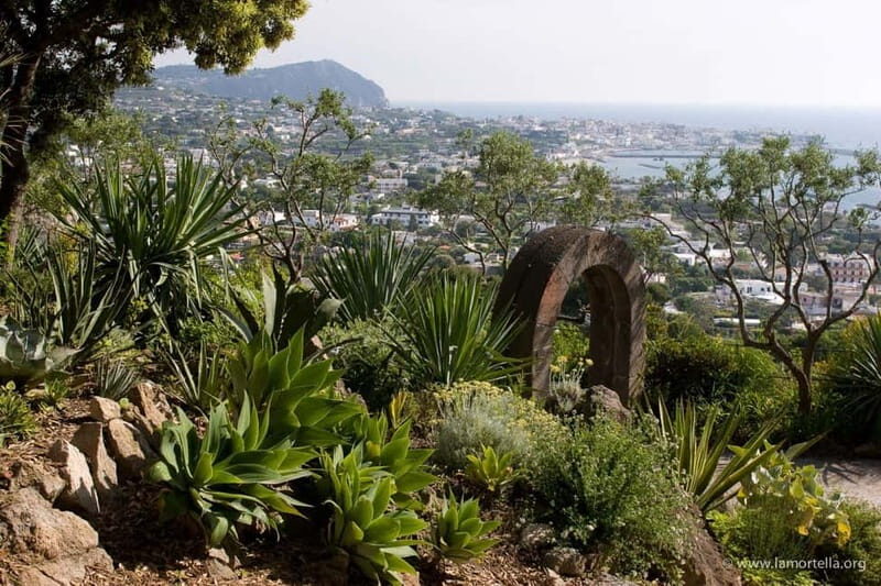 From Naples: Ischia and La Mortella Gardens Day Trip - The Return Journey