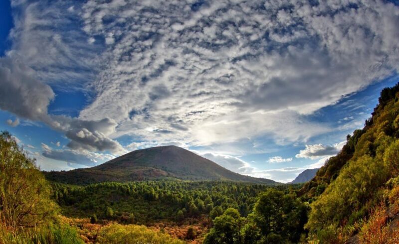 From Naples: Mount Vesuvius Half-Day Tour with Lunch - FAQ