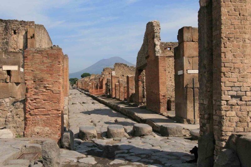 From Naples: Pompeii and Herculaneum Tour with Lunch - Key Points