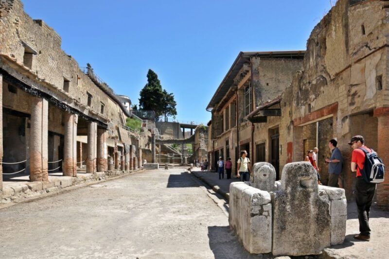 From Naples: Pompeii and Herculaneum Tour with Lunch - Final Thoughts