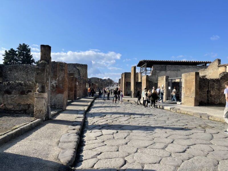 From Naples: Pompeii Guided Tour with Skip-the-Line Tickets - Key Points