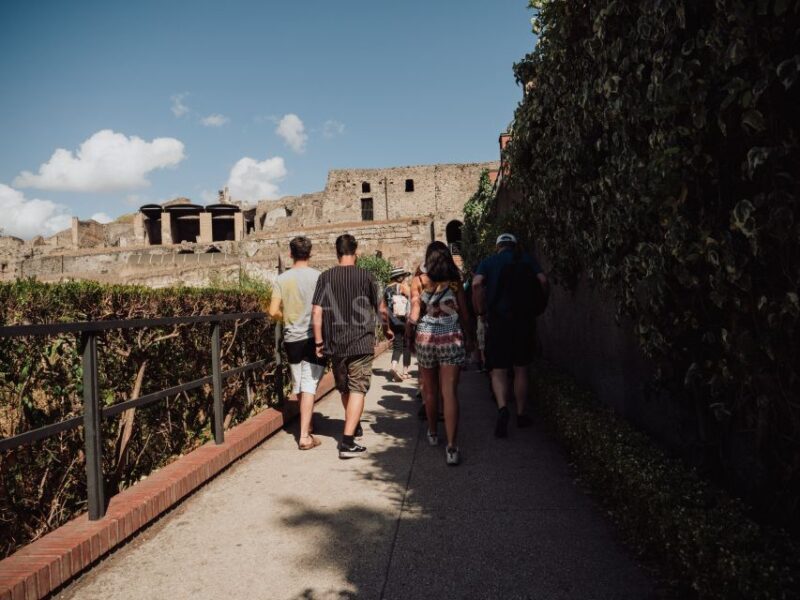 From Naples: Pompeii & Herculaneum with Archaeologist Guide - An In-Depth Look at the Tour Experience