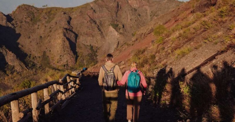 From Naples: Pompeii & Mount Vesuvius Full-Day Private Tour - Mount Vesuvius: Walking the Crater Rim