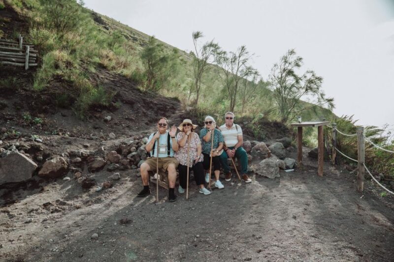 From Naples: Pompeii & Mount Vesuvius Full-Day Private Tour - Return Journey and Drop-Off