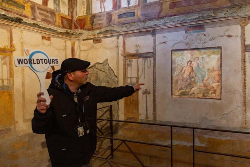 From Naples: Pompeii Private Tour with Transfer and Guide - Key Points