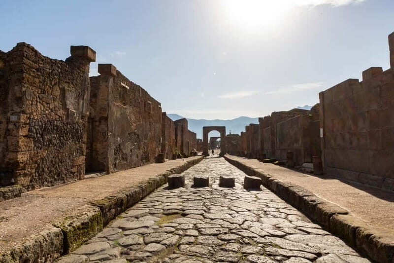 From Naples: Pompeii Private Tour with Transfer and Guide - Discovering Pompeii: Why This Tour Stands Out